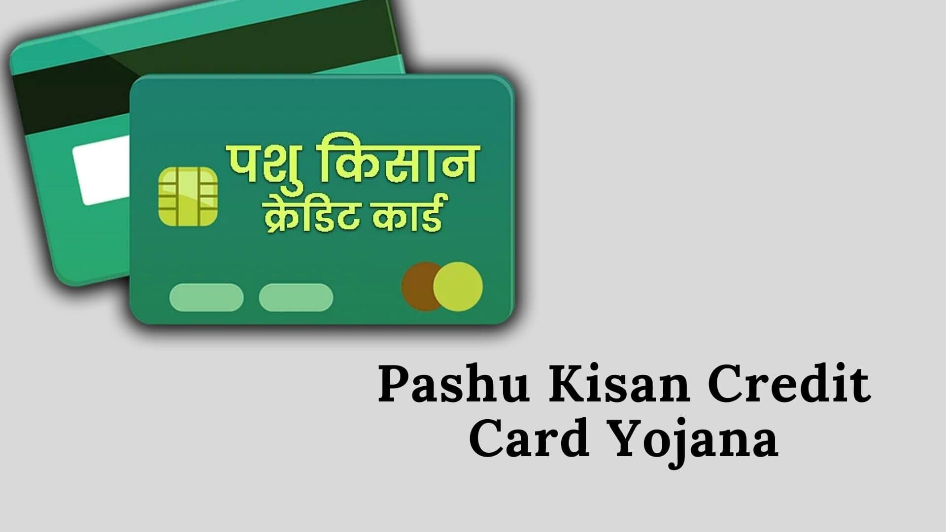 Pashu Kisan Credit Card Yojana | Blogs