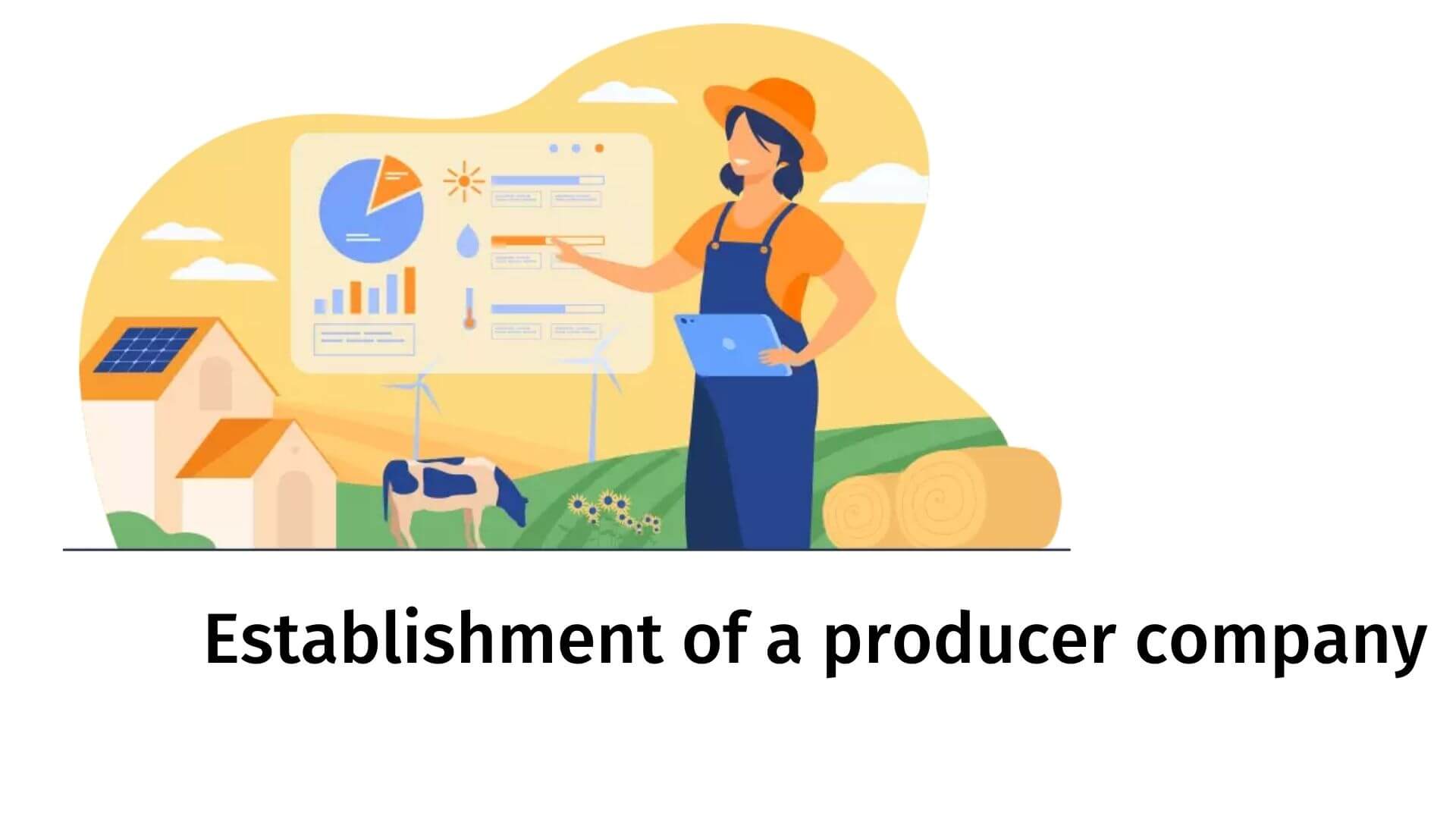 How to established a producer company | Blogs